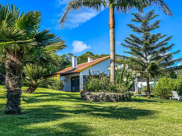 Quinta Do Ananás Pineapple Farm - Ponta Delgada
