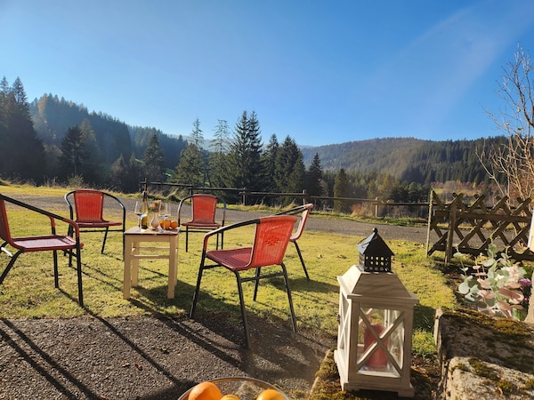 Ferienwohnung 'Schluchsee' Mit Bergblick, Gemeinschaftsterrasse Und Wi-fi - Lenzkirch