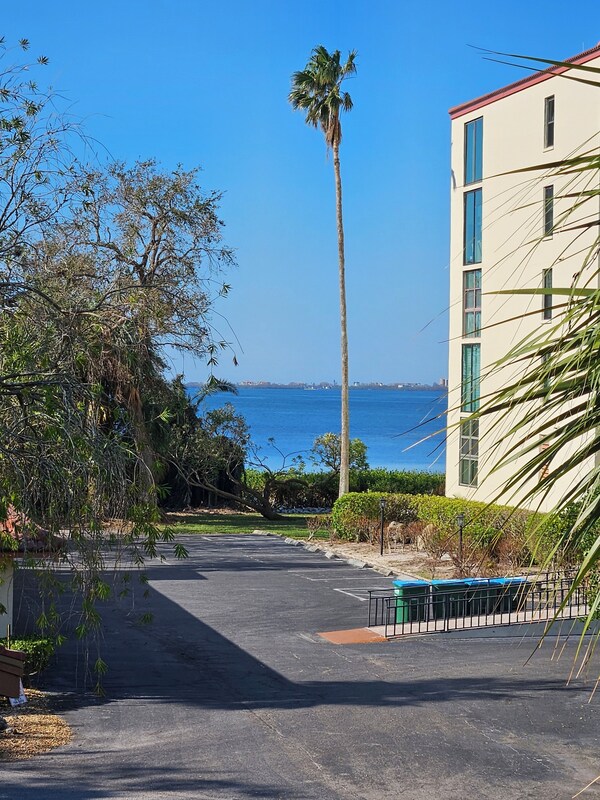Lush Wooded Bayside Oasis, Dog Friendly, 6miles To Ami, 1 Mile Img - Bradenton, FL
