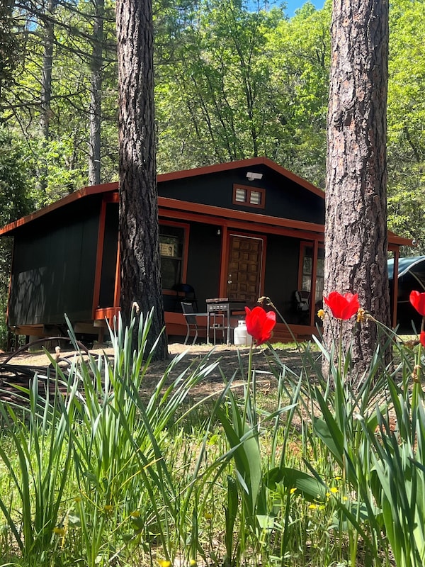 Soothing Cabin With Wifi In Charming Foresthill - Foresthill, CA