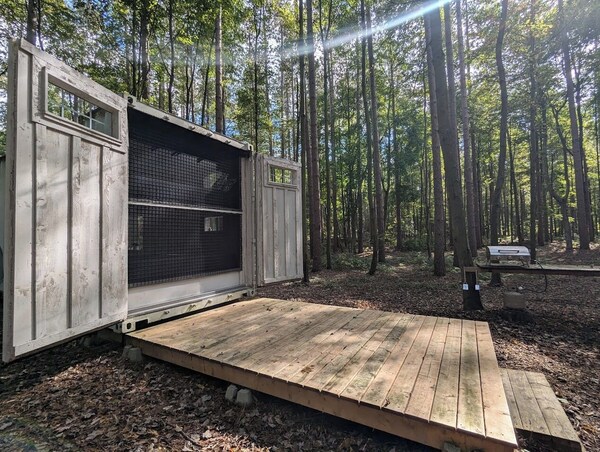 Little Can In The Pines - Bunkie No. 2 - Delhi