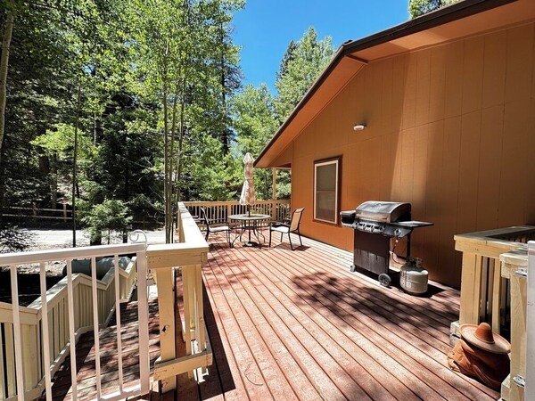 Charming 2-bedroom House In Peaceful Cloudcroft With Wifi - Cloudcroft, NM