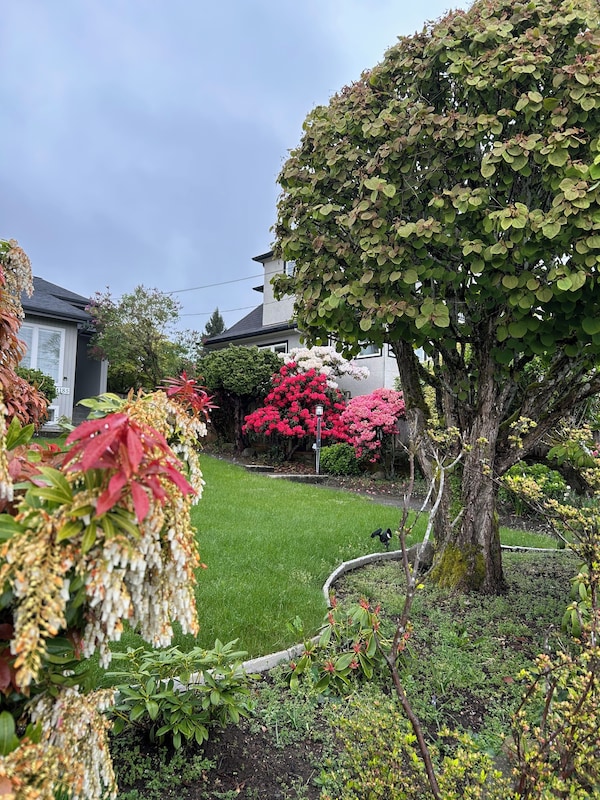 Deluxe Room - West Vancouver