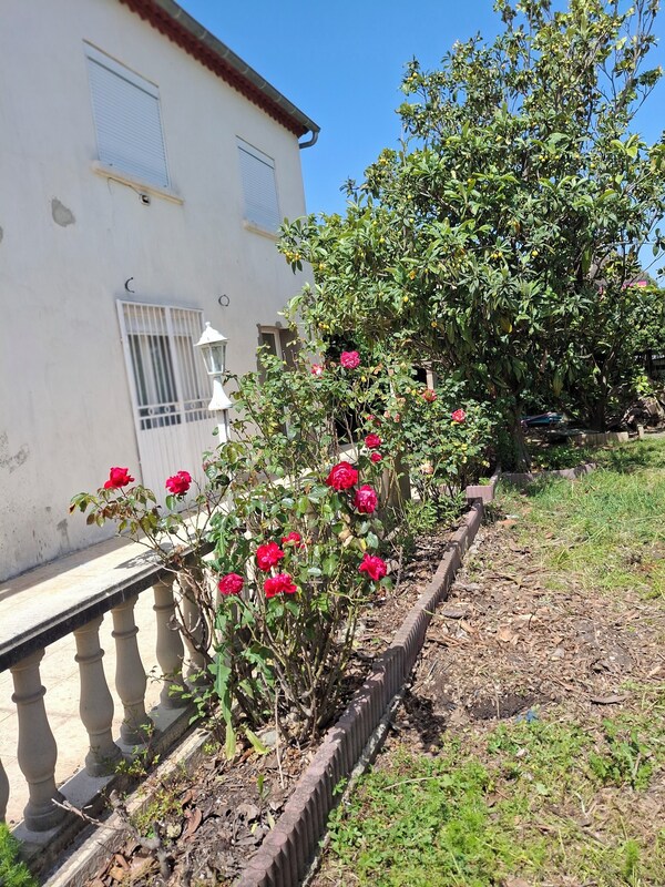 Lady Rose Nîmes : Large Charming House With Garden, Ideal For Groups (14 Pers) - Saint-Gilles