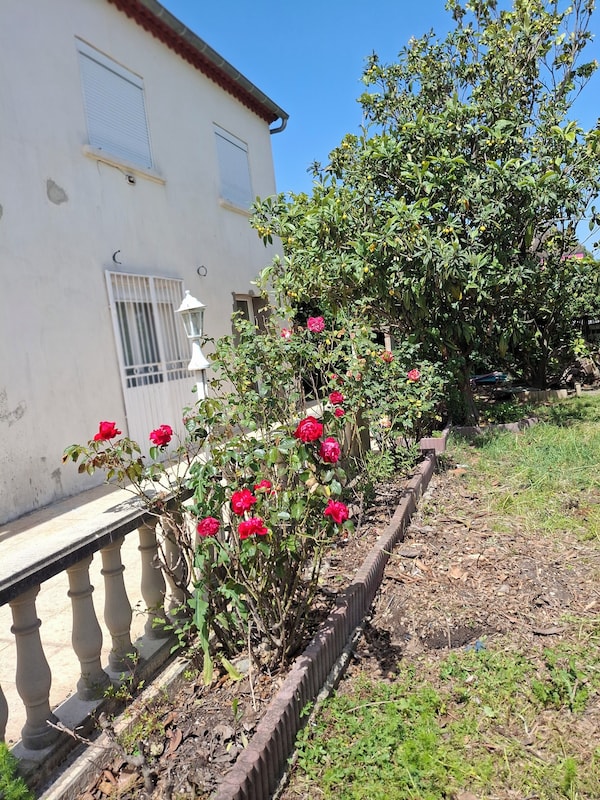 Lady Rose Nîmes : Large Charming House With Garden, Ideal For Groups (14 Pers) - Saint-Gilles