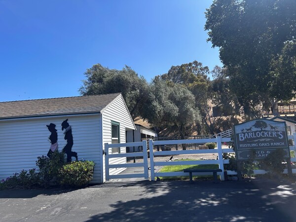 Tranquil Studio With Wifi In Sunny Outskirts Salinas - Big Sur, CA
