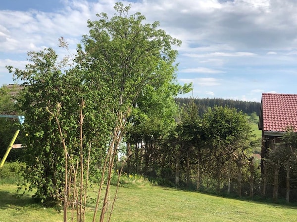 Ferienwohnung 'Schwarzwaldhirsch' Mit Privatterrasse Und Wi-fi - Villingen-Schwenningen