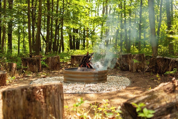 18 Acres Of Lush Forest - Holland, MI