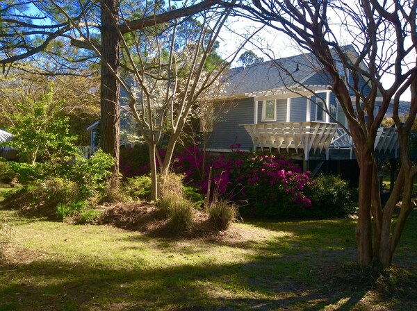 Argyles Place 3 Beds/spa Bath/kitchen Pet Friendly - Duck, NC