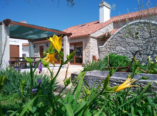 Explore, Relax And Invigorate Yourself At Grandma Lídia's Retreat - 葡萄牙