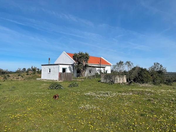 Casa Di Campagna 'Morena' Con Terrazza Privata, Giardino Privato E Wi-fi - Grândola