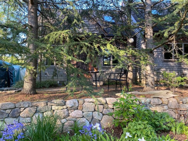 1-bedroom Apartment In Falmouth, On Bike Path, Close To Beach And Town - Falmouth, MA
