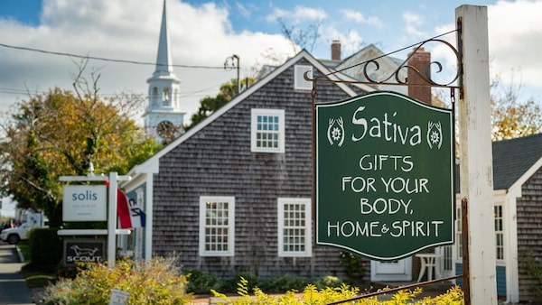 Charming Cape Cod Cottage Walking Distance To The Beach - Dennis, MA