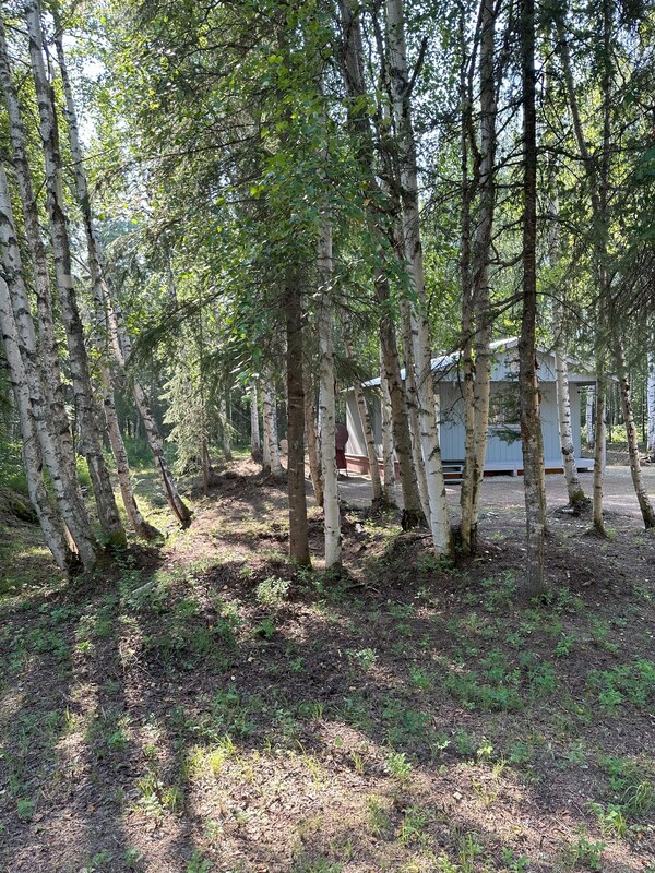 Chatanika Cabin Close To River, White Mts, And Steese National Conservation Area - Alaska