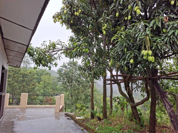 The Thanedar Sahib -100+ Year-old, 4-bedroom Himachali-style Homestay - Chintpurni