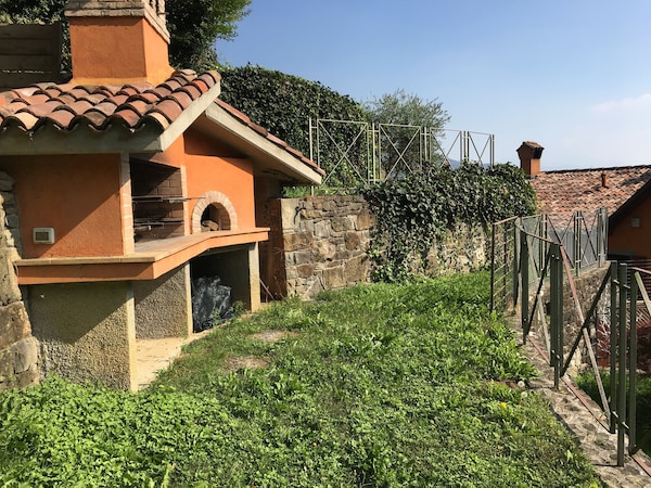 .\\Tgreen In The City Exists: Discover It At The Hedgehog Mansion With Your Furry..... - Bérgamo