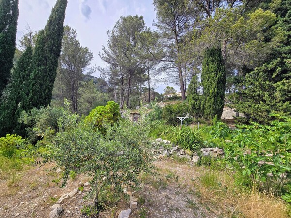 Maison Familiale En Provence - Venasque