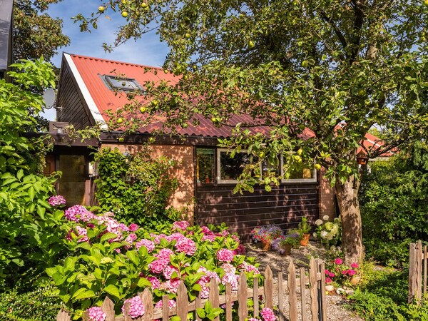 Surroundings Schoorl, Dune And Beach. Cozy House With Garden On Small Park. Dog Welcome - Bergen aan Zee