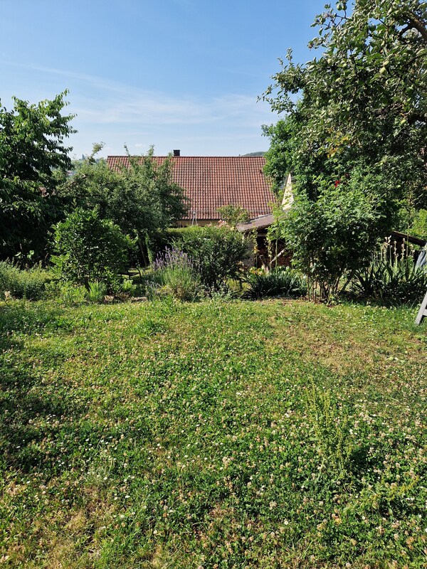 Südhang Von Sonne Erfüllt - Marktbreit
