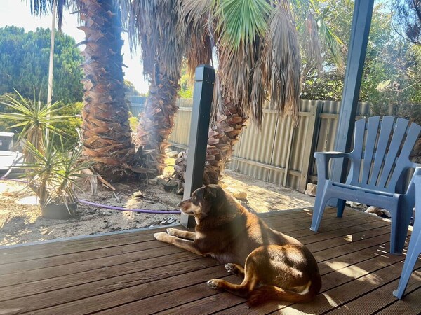 Sea-esta Wifi, Foxtel, Pet Friendly - Goolwa
