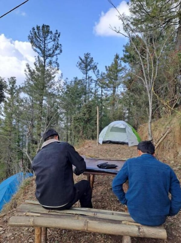Delicate Camp B - Shimla