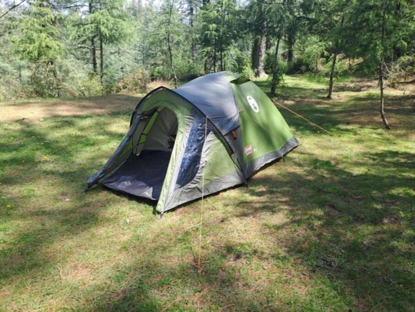 Delicate Camp D - Shimla