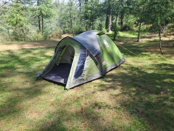 Delicate Camp D - Shimla