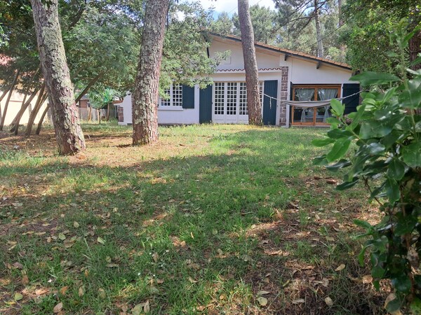 Savannah - La Maison Des Pins - Mimizan