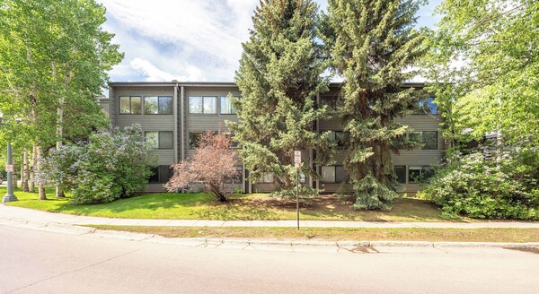 New Listing! Heart Of Aspen Renovated 2br - Aspen