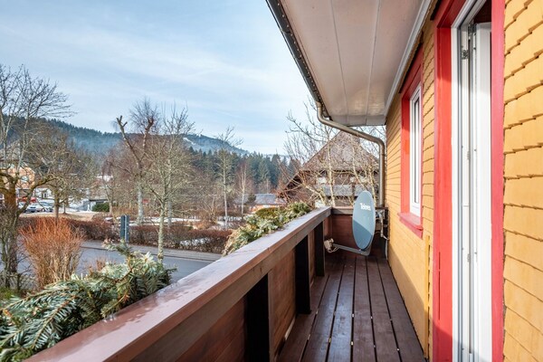 Ferienwohnung 'Dachtler' Mit Bergblick, Gemeinschaftsgarten Und Wi-fi - Feldberg (Schwarzwald)