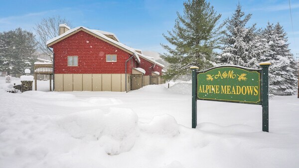 Across From Holiday Valley, 2 King Beds, Ac - Ellicottville, NY