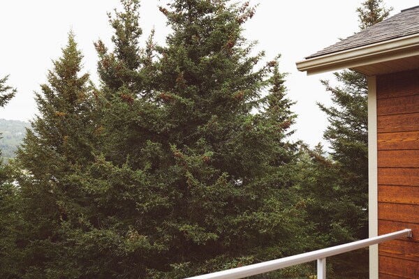 Newly Remodeled And Close To The Beach! - Homer, AK
