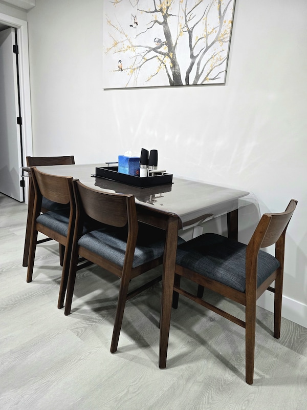 Spacious Basement Suite: 2 Queen Beds, Kitchen, Livingroom, Dining, Laundry - Alberta