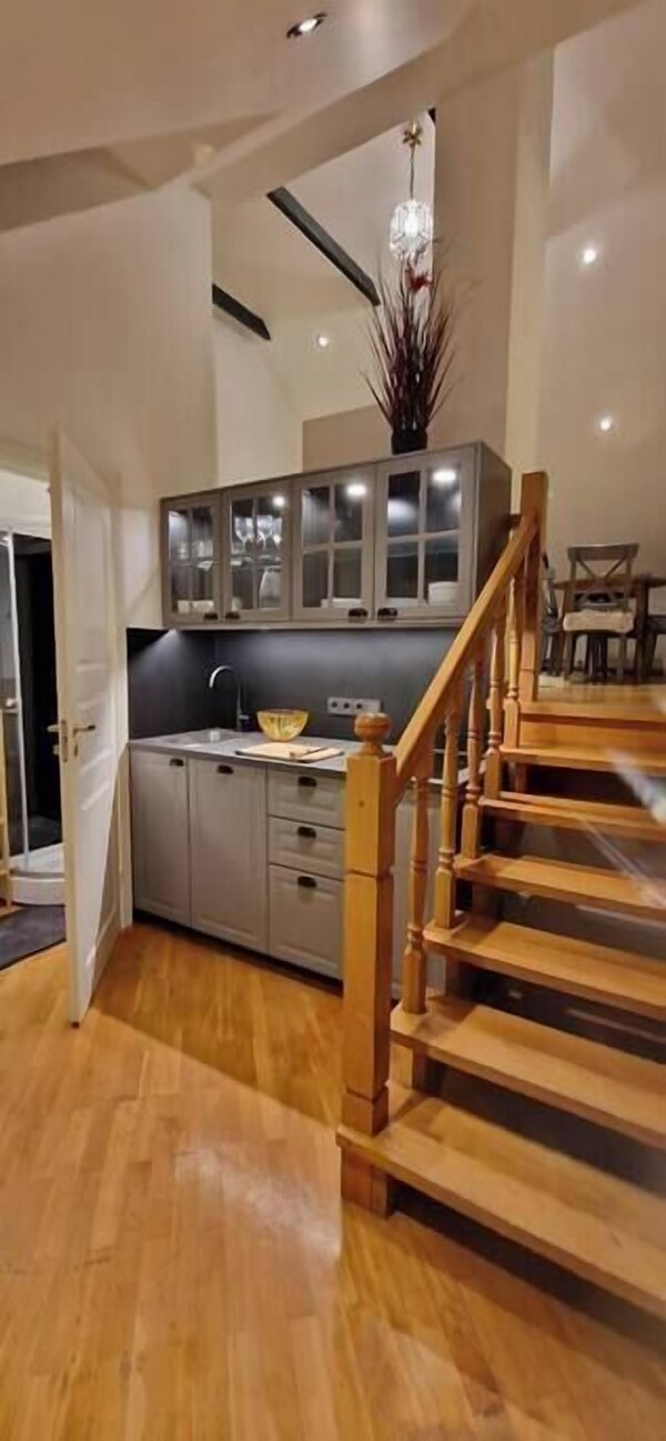Tyzenx Luxury Vilnius Apartment - Vilnius