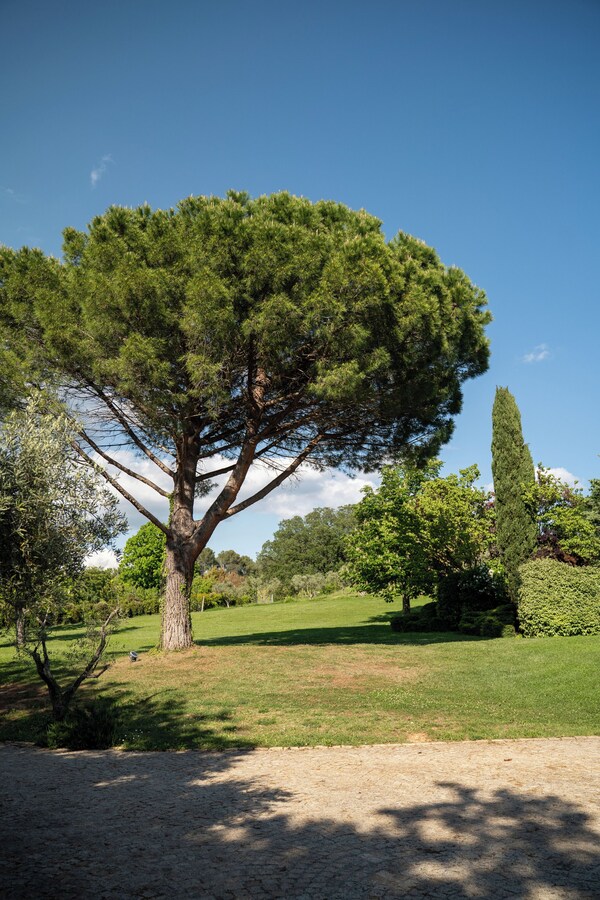 Exceptional Villa With Swimming Pool - Direct Access On Foot To Château De La Gaude - Aix-en-Provence