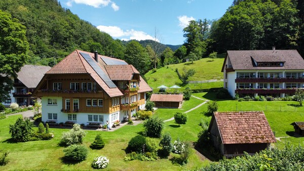 Ferienwohnung '2 Zimmer -B-' Mit Bergblick, Gemeinschaftsterrasse Und Wi-fi - Bad Peterstal-Griesbach