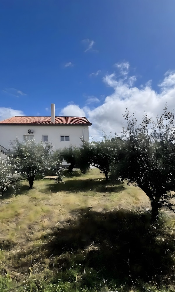 Habitación 'Santo Agostinho' Con Terraza Compartida, Jardín Compartido Y Wi-fi - Fátima
