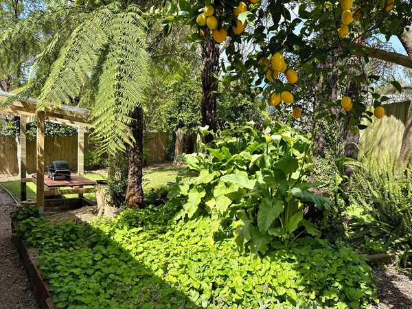 Relaxing Home In Foster Opposite Bushland And Near Wilsons Promontory Natpark. - Fish Creek