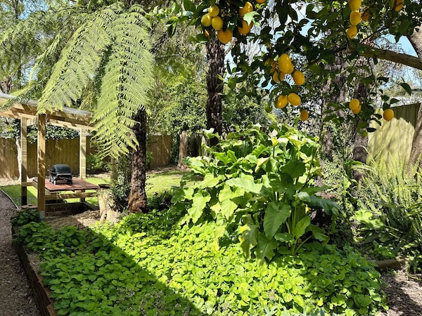 Relaxing Home In Foster Opposite Bushland And Near Wilsons Promontory Natpark. - Fish Creek