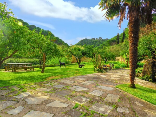 Homerez - House In Porto De Mós With Mountain View - Batalha