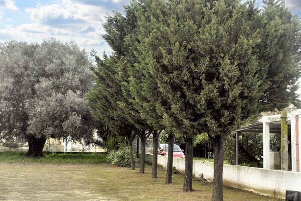 Homerez - Charming House In Vittoria With Garden - Comiso