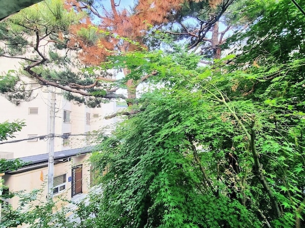 The Most Beautiful House In The Middle Of Gang Nam\n\nsix People Available - 신흥3동