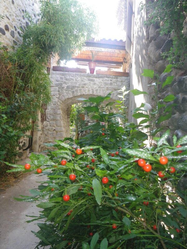Homerez - House, Saint-germain - Villeneuve-de-Berg