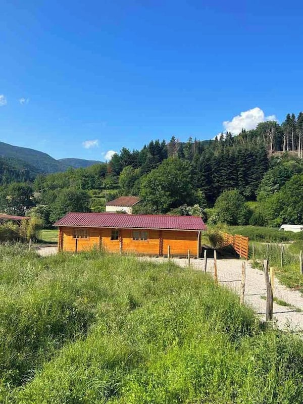 Homerez - House In Fougax-et-barrineuf With Garden - Lavelanet