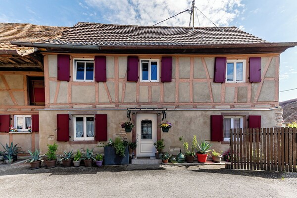 Charming Typical Gîte "Chez Alexandra" Centre Alsace Near Europapark - Benfeld