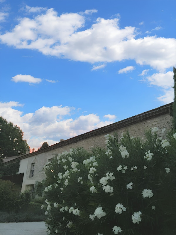 Homerez - Charming House In Marsillargues With Garden - Saint-Laurent-d'Aigouze