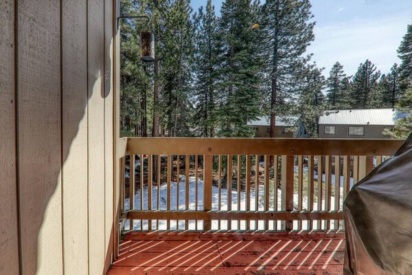 4 Bdrm - Family Friendly - Minutes From Tahoe Beaches - Carson City, NV