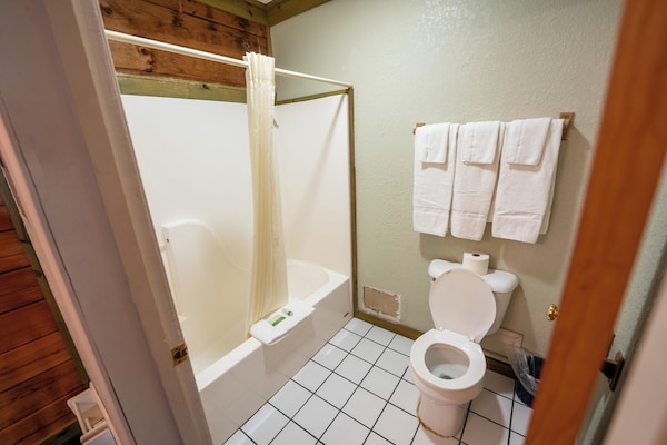 Full And 2 Twin Beds Room - Paris Landing State Park, Buchanan