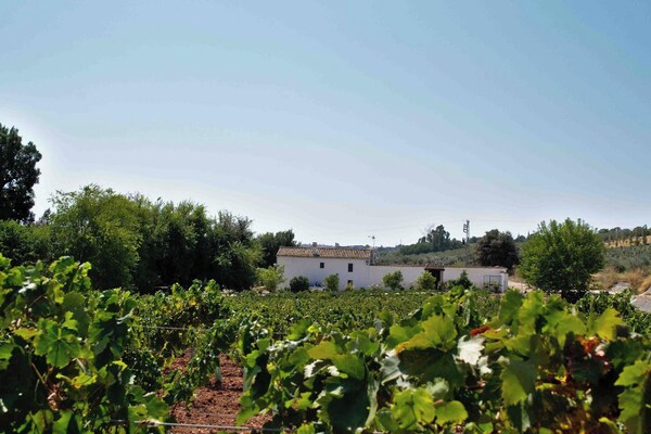 Homerez - Villa éLégante Au Cœur De Montilla Avec Piscine Privée - Montilla