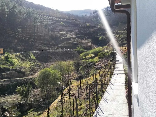 Homerez - Charmante Villa Avec Piscine à Lamego - Lamego